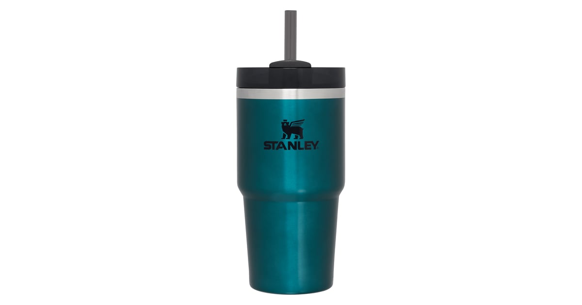 Track Stanley The Quencher H2.0 Flow State Tumbler | 20 Oz - Balsam