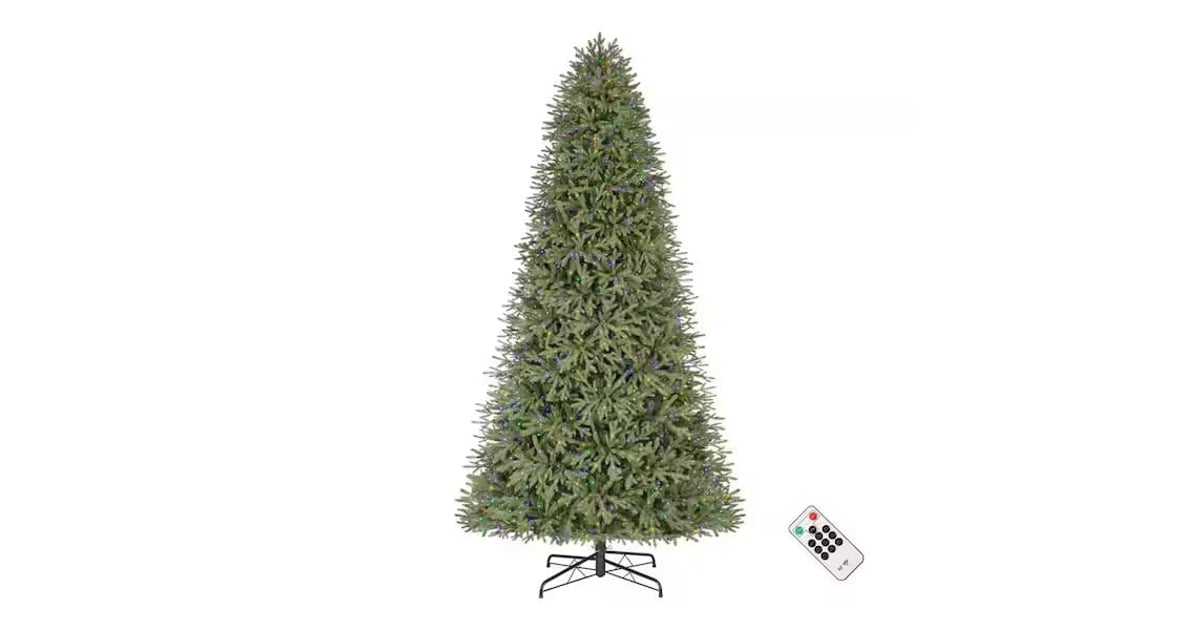 12 ft. Pre-Lit LED Jackson Noble Fir Christmas Tree In Stock ...