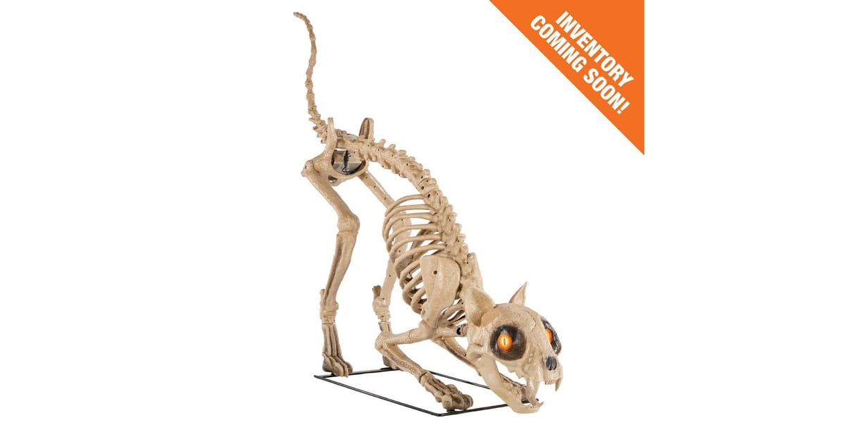 5 ft. Long Grave & Bones LED Skelly's Cat In Stock Availability and ...